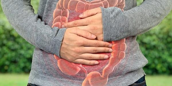 Why a Good Colon is So Important